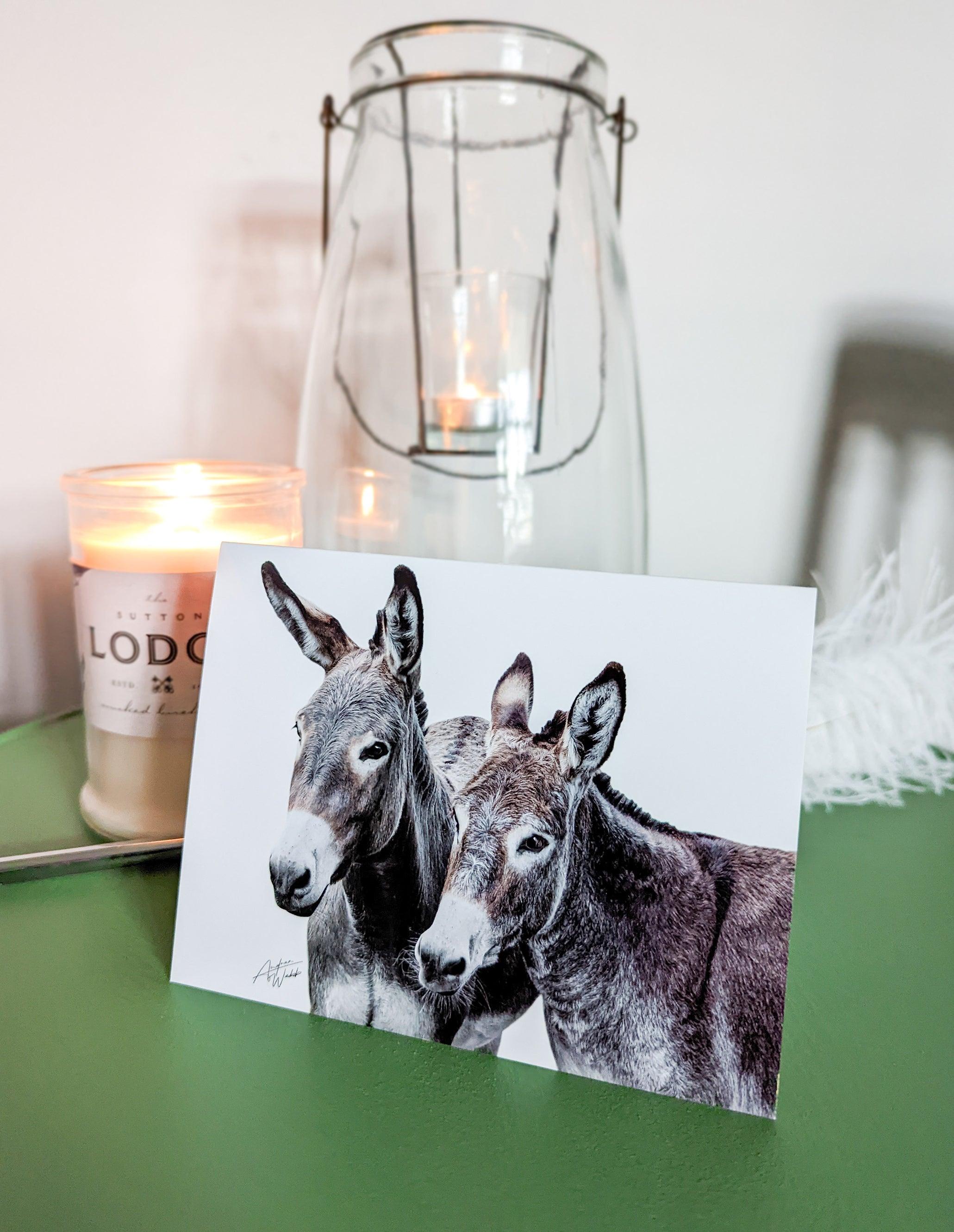 Folded Notecards and Gifts – Andrea Webb Photography